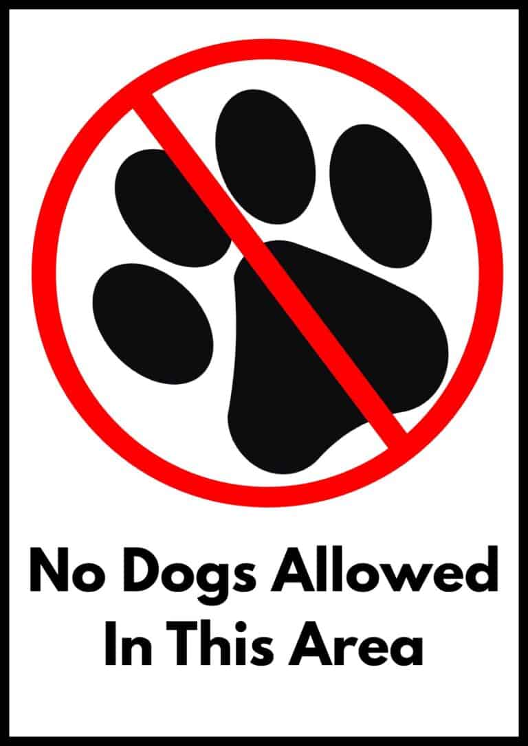 Printable No Dogs Allowed Sign (Free Designs) | The Pink Craft Box