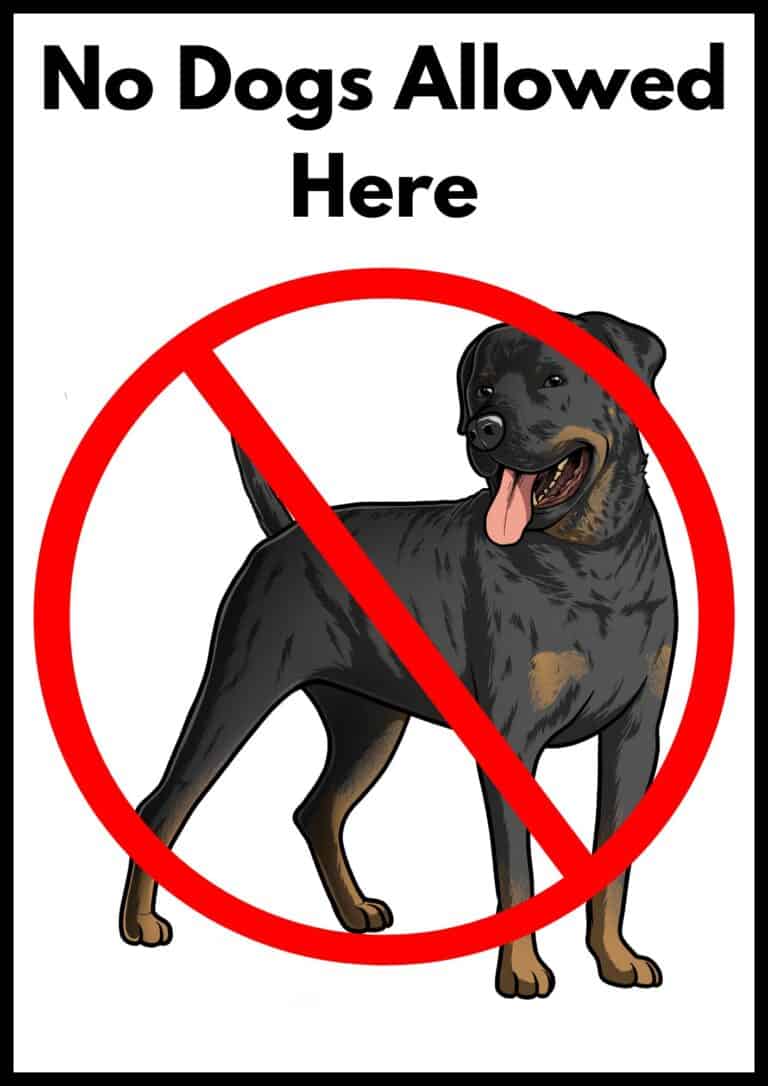 Printable No Dogs Allowed Sign (Free Designs) | The Pink Craft Box