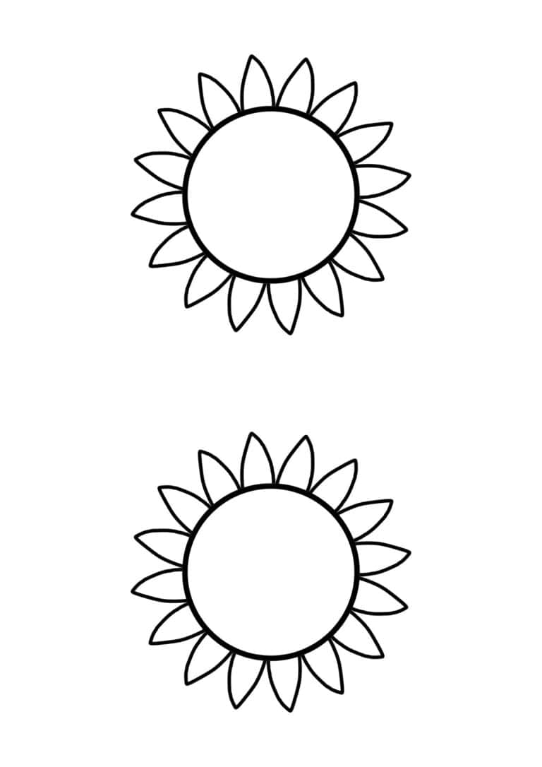 Sunflower Template Printable (8 Free Designs) | The Pink Craft Box