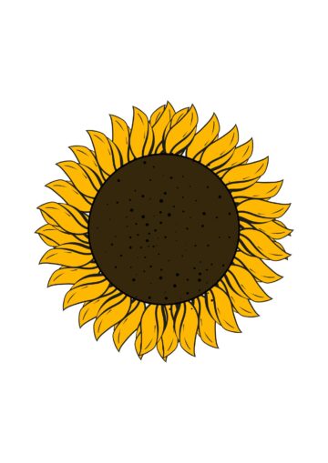 Sunflower Template Printable (8 Free Designs) | The Pink Craft Box
