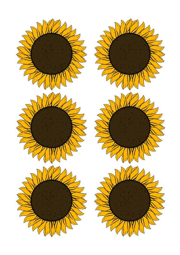 Sunflower Template Printable (8 Free Designs) | The Pink Craft Box