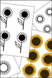 Sunflower Template Printable (8 Free Designs) | The Pink Craft Box