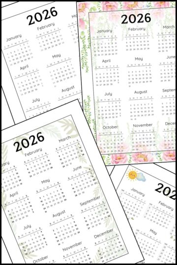 2026 Calendar Printable (Free Year-At-a-Glance Designs) | The Pink ...